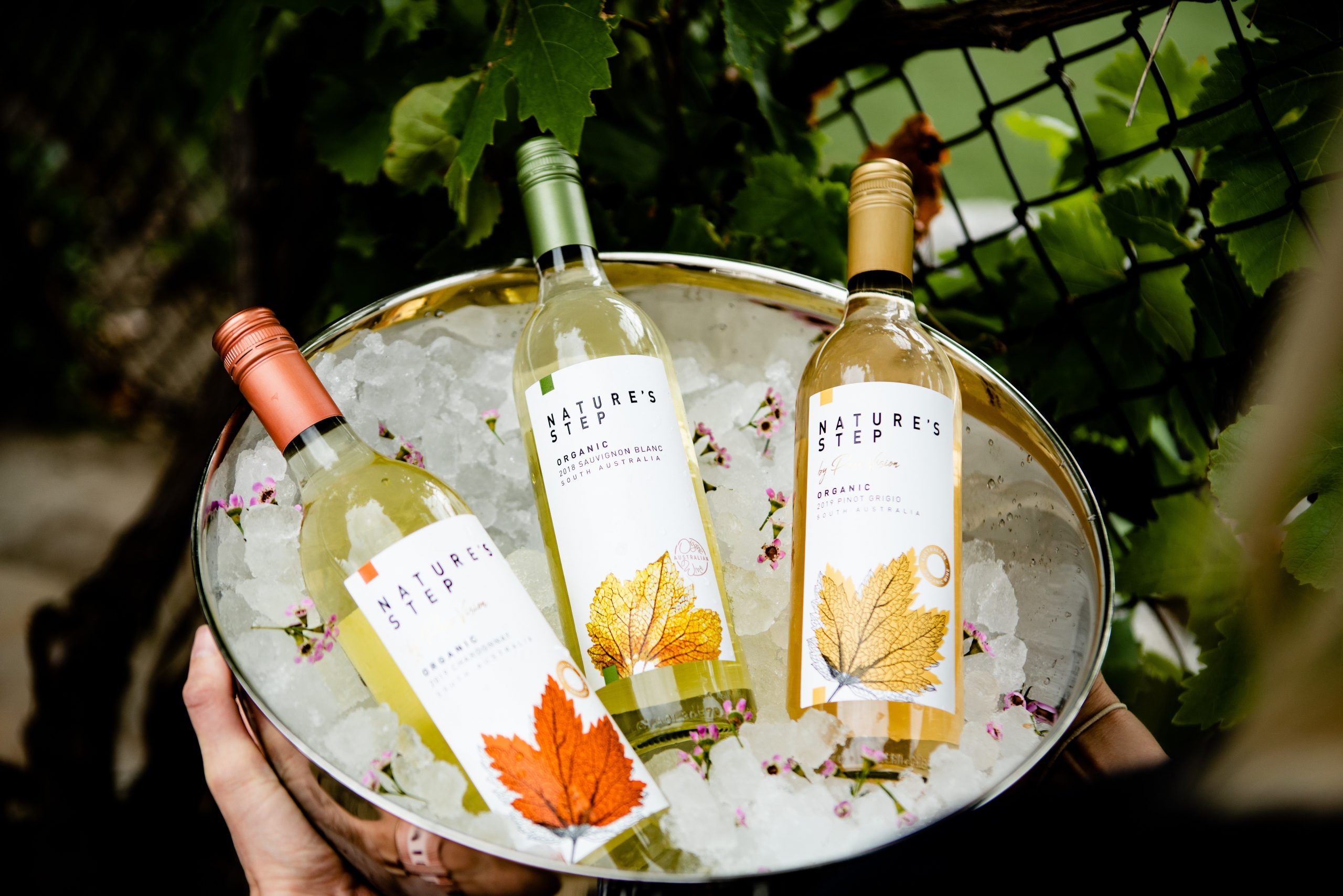 Pure Vision Wines - Australian Organic