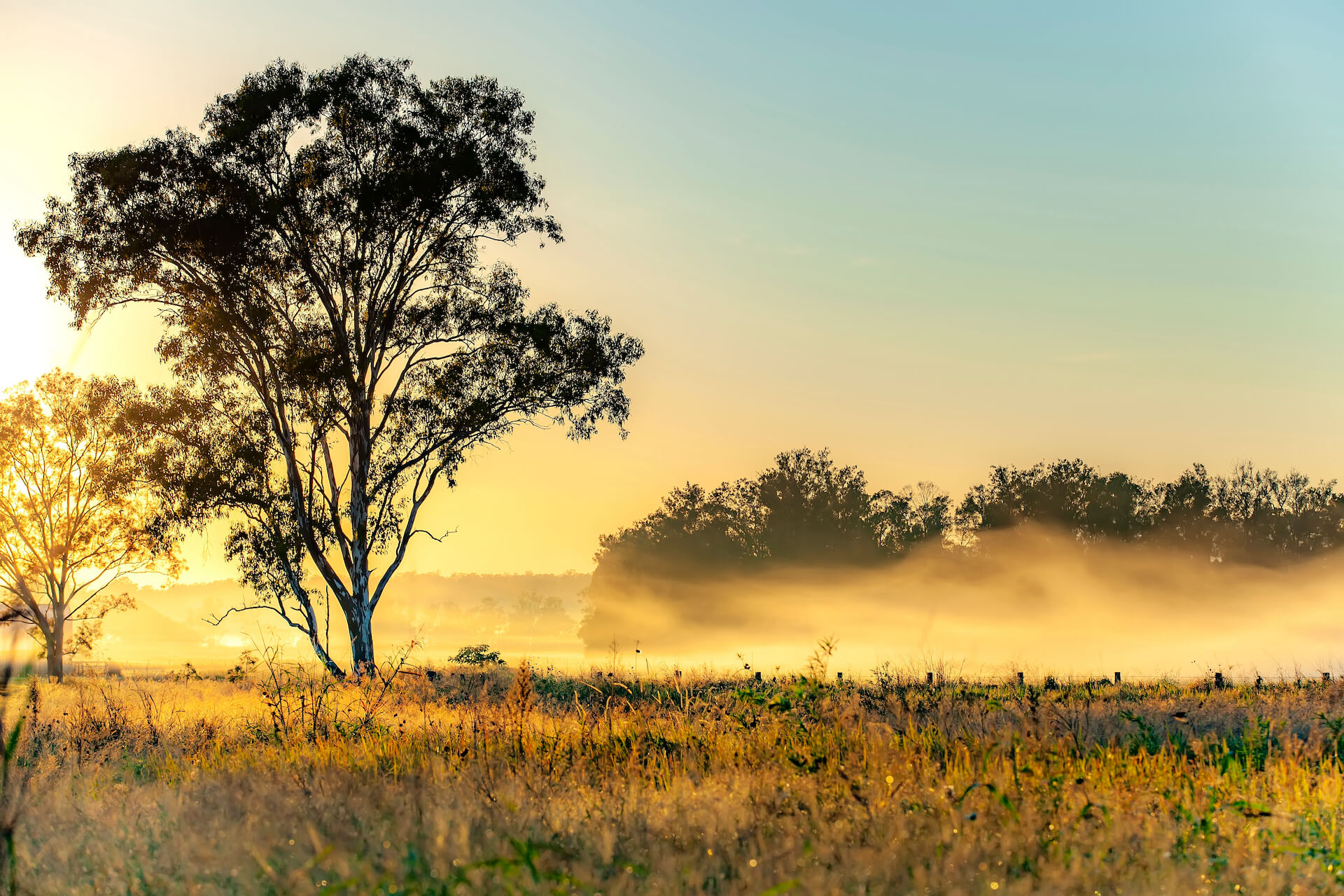 Environmental Benefits of Organic - Australian Organic